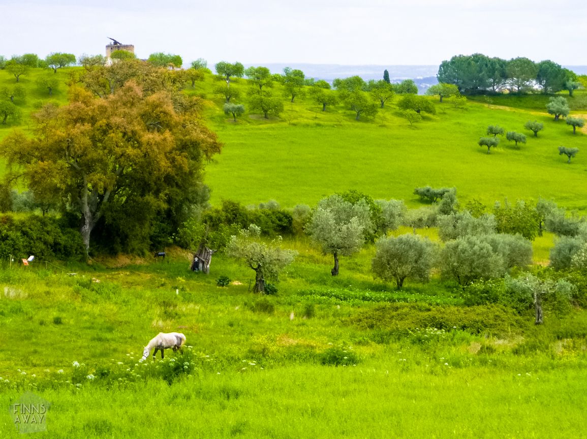 Portugal: First impressions | FinnsAway travel blog