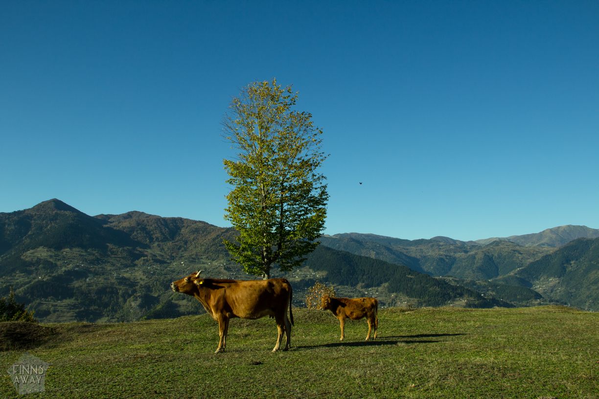 Georgia off the beaten path; Khulo | FinnsAway travel blog