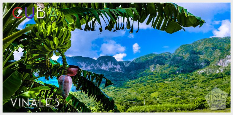 Hiking in Viñales Valley, Cuba | FinnsAway travel blog