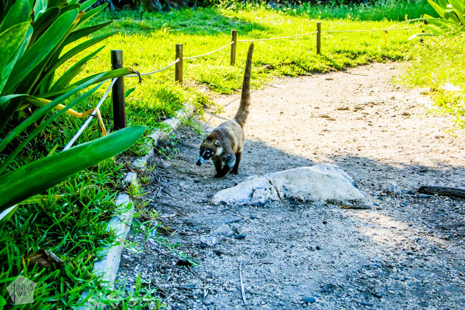 Riviera Maya: Tulum in off-season | FinnsAway travel blog
