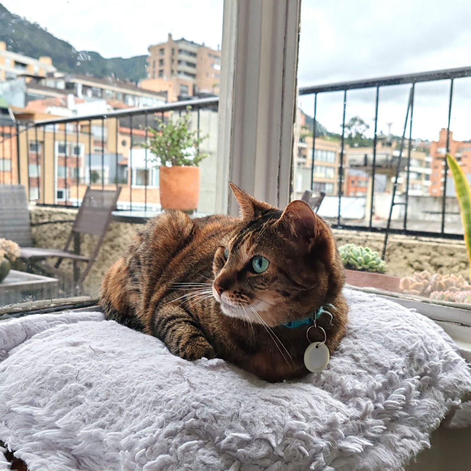 Bogota housesit | FinnsAway blog - nomad life and travel adventures